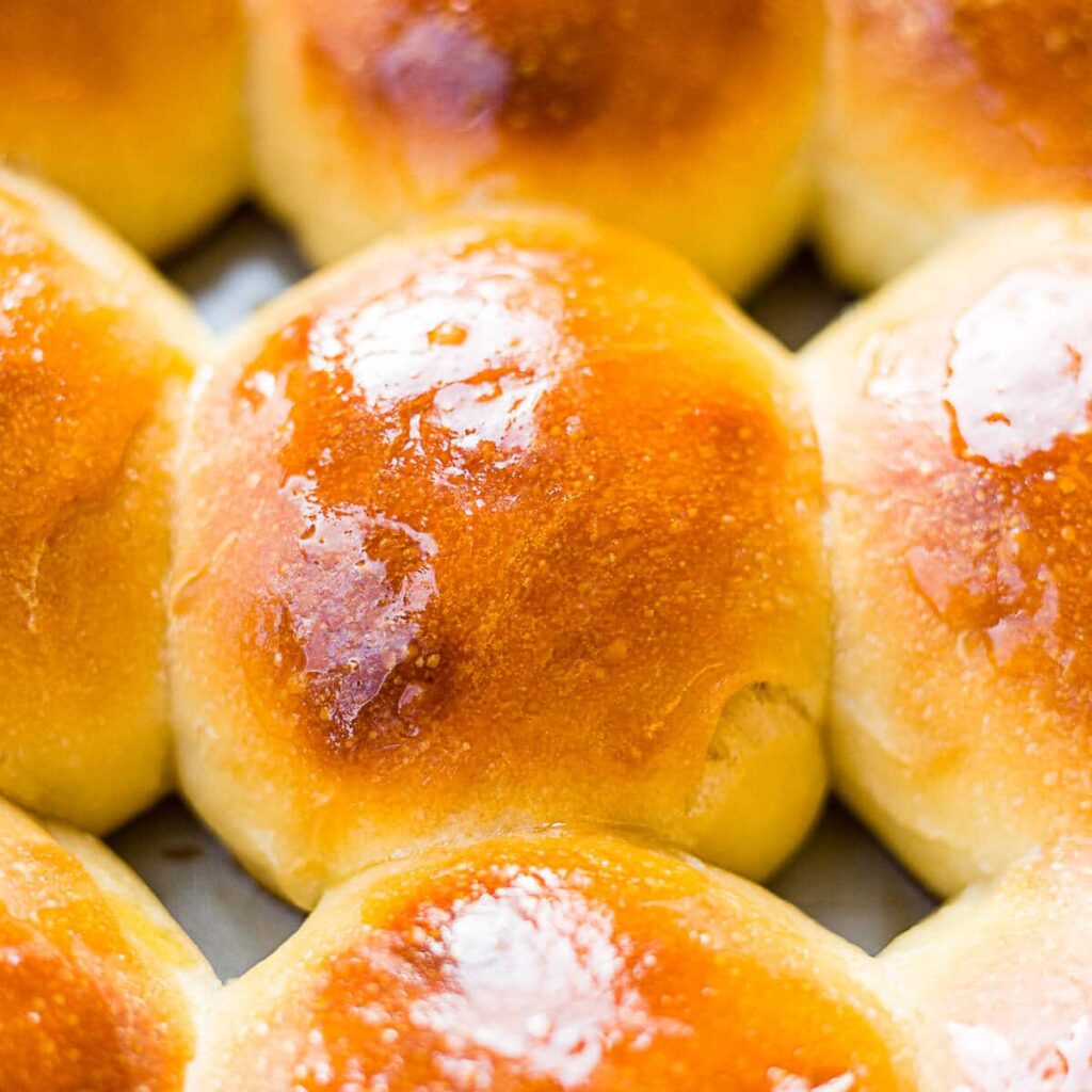 Healthy Sourdough Buns (Minimal Kneading!) | What Molly Made