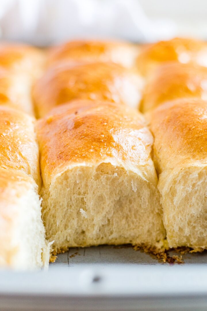 Soft Sourdough Dinner Rolls | What Molly Made
