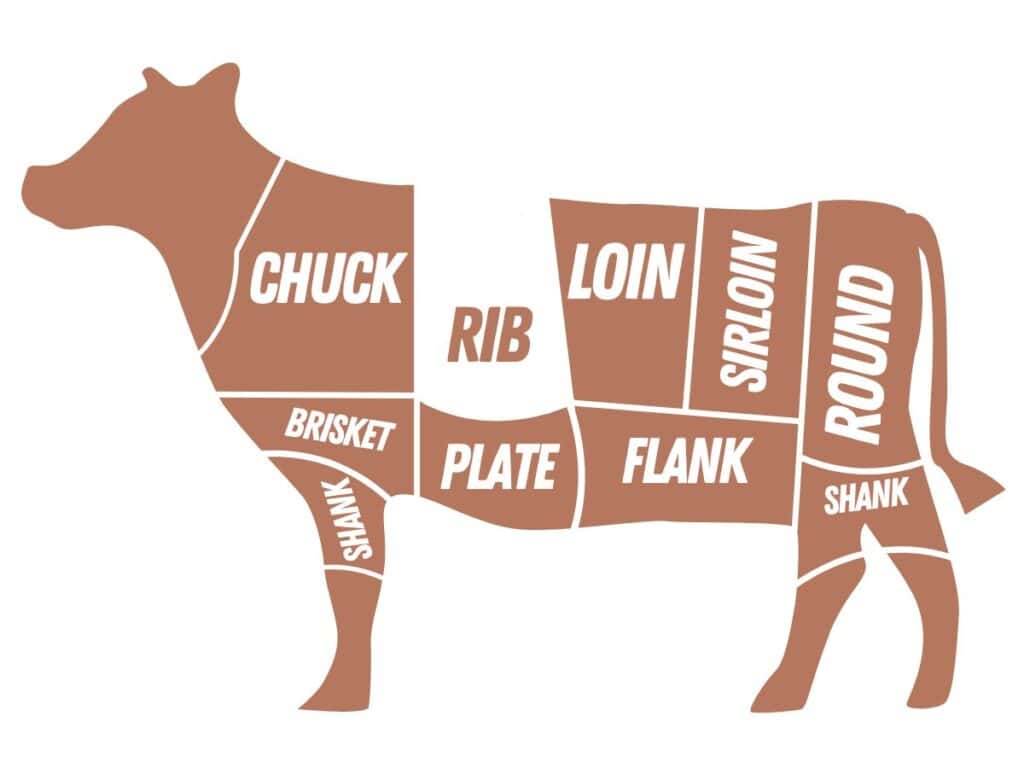 Guide to Different Cuts of Beef | What Molly Made