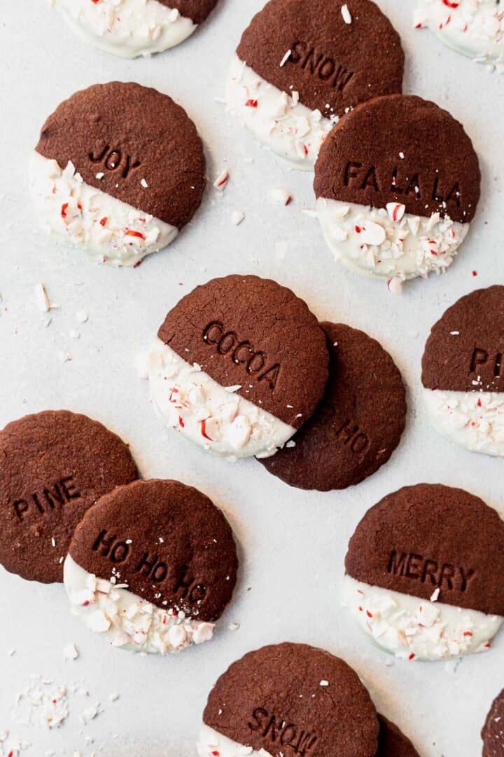 Chocolate Shortbread Cookies - What Molly Made