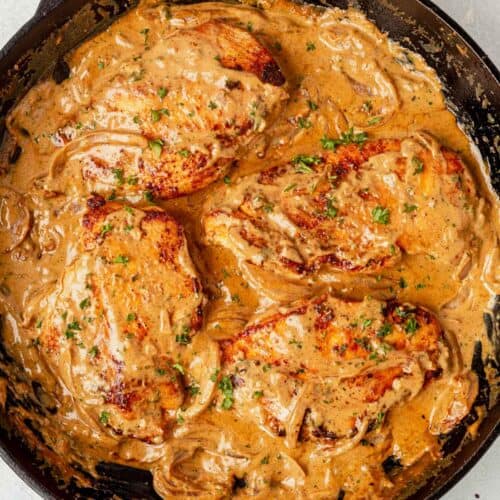 Creamy Boursin Chicken Recipe