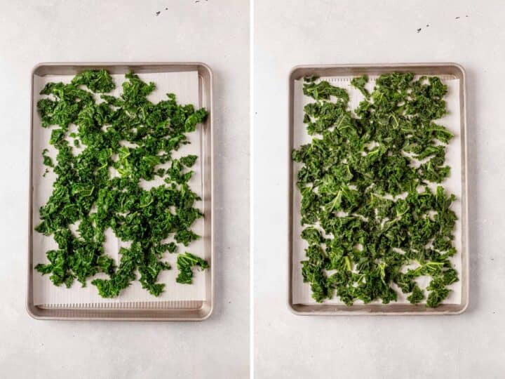 How to Freeze Kale | What Molly Made