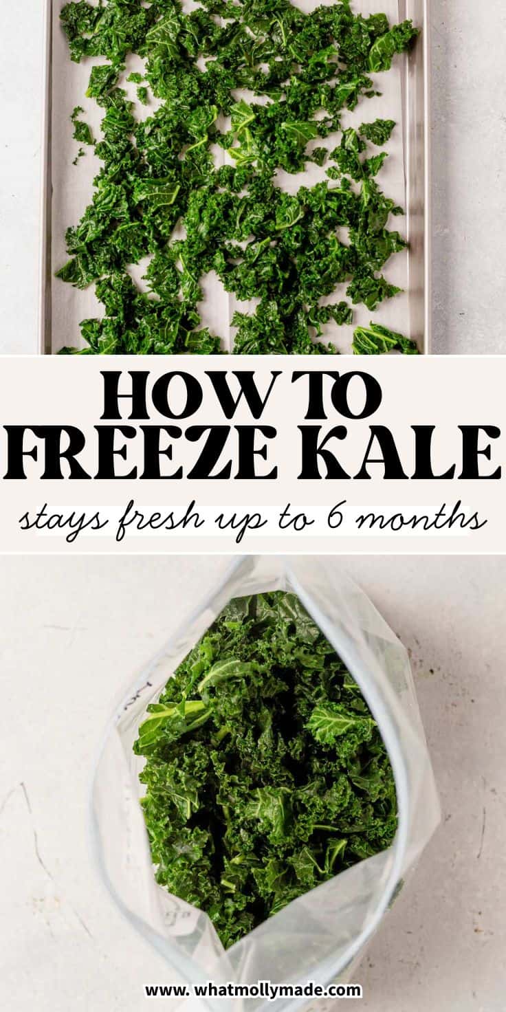 How to Freeze Kale | What Molly Made