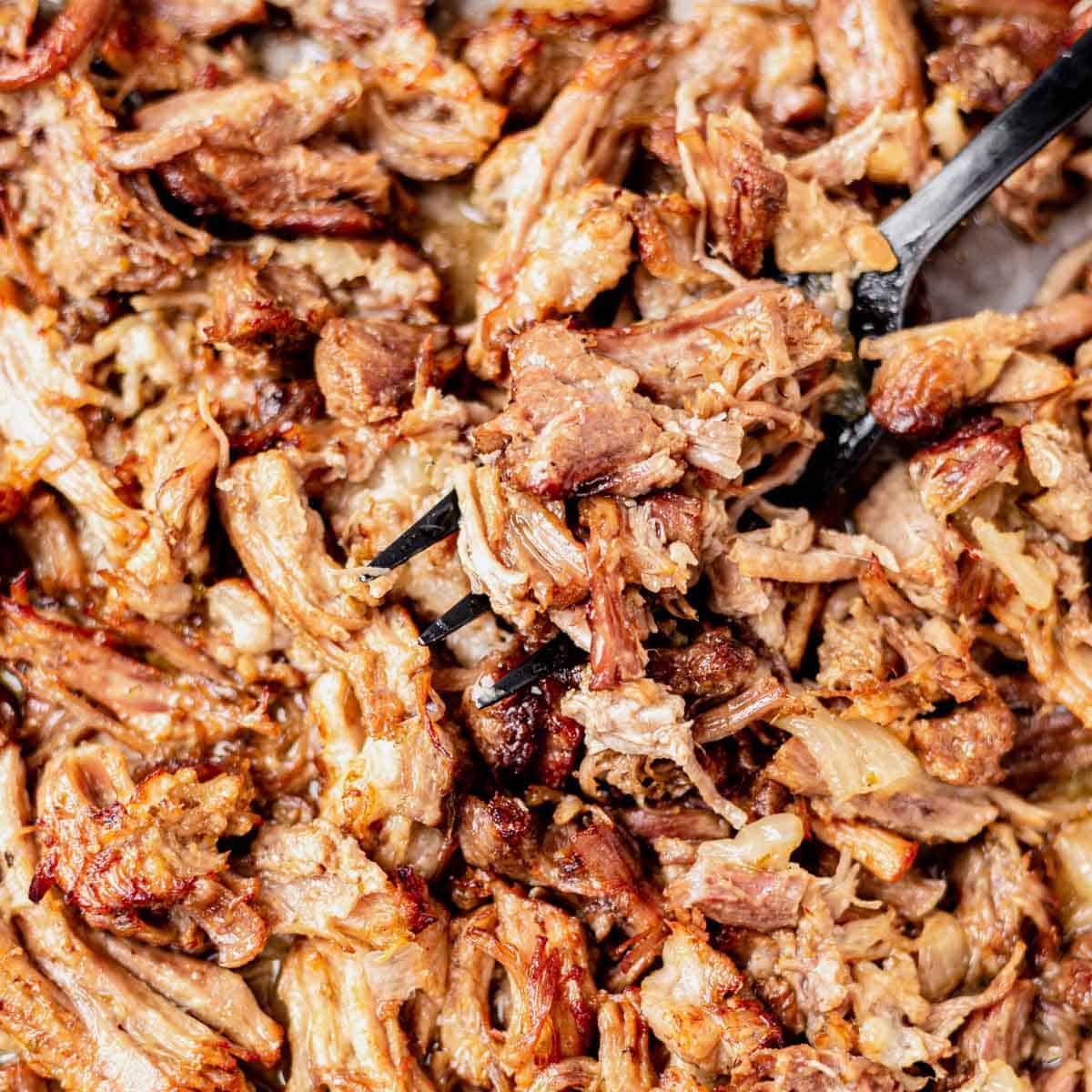 Instant Pot Carnitas Recipe (Crispy & Juicy!)