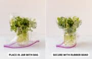 The Best Way to Store Cilantro So It Stays Fresh for Weeks