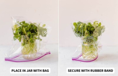 The Best Way to Store Cilantro So It Stays Fresh for Weeks