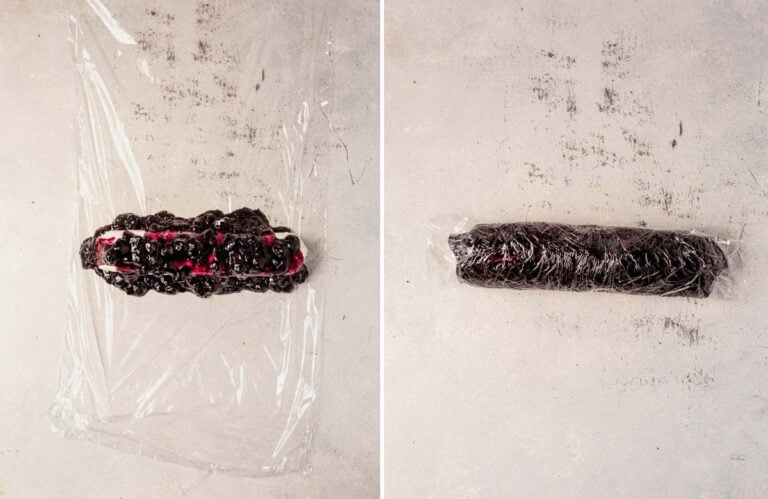 Fresh Blueberry Vanilla Goat Cheese Log (Easy Appetizer!)