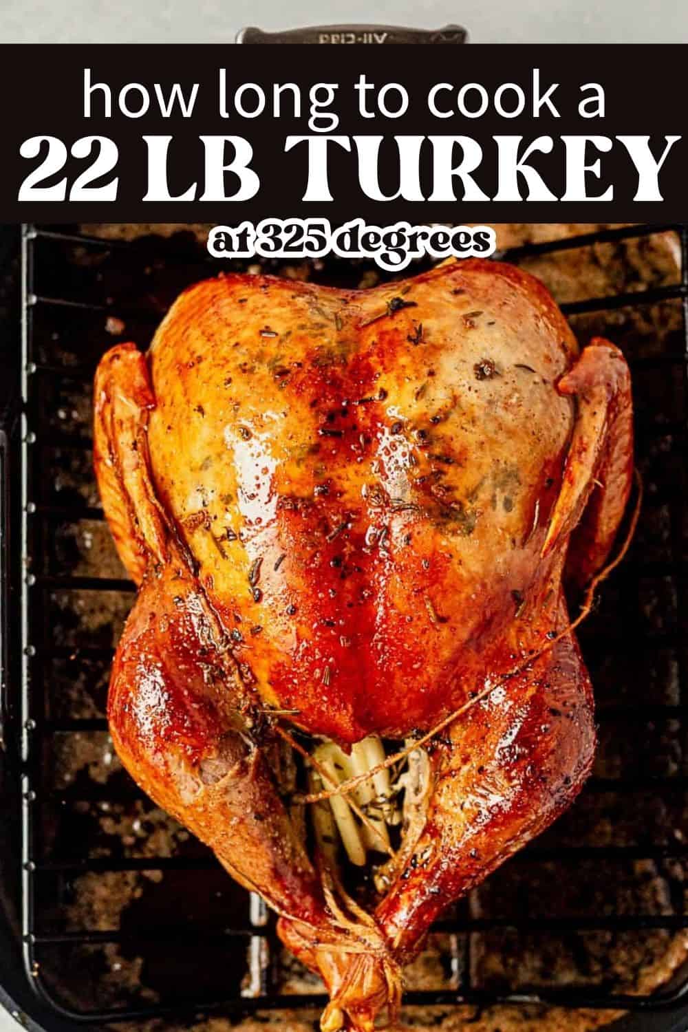 How Long to Cook a 22 Pound Turkey (+ Internal Temps)