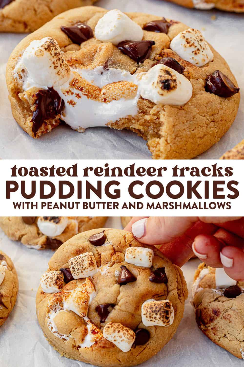 Toasted Marshmallow Peanut Butter Pudding Cookies