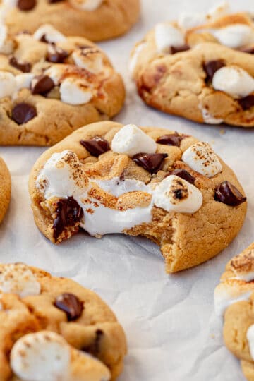 Toasted Marshmallow Peanut Butter Pudding Cookies