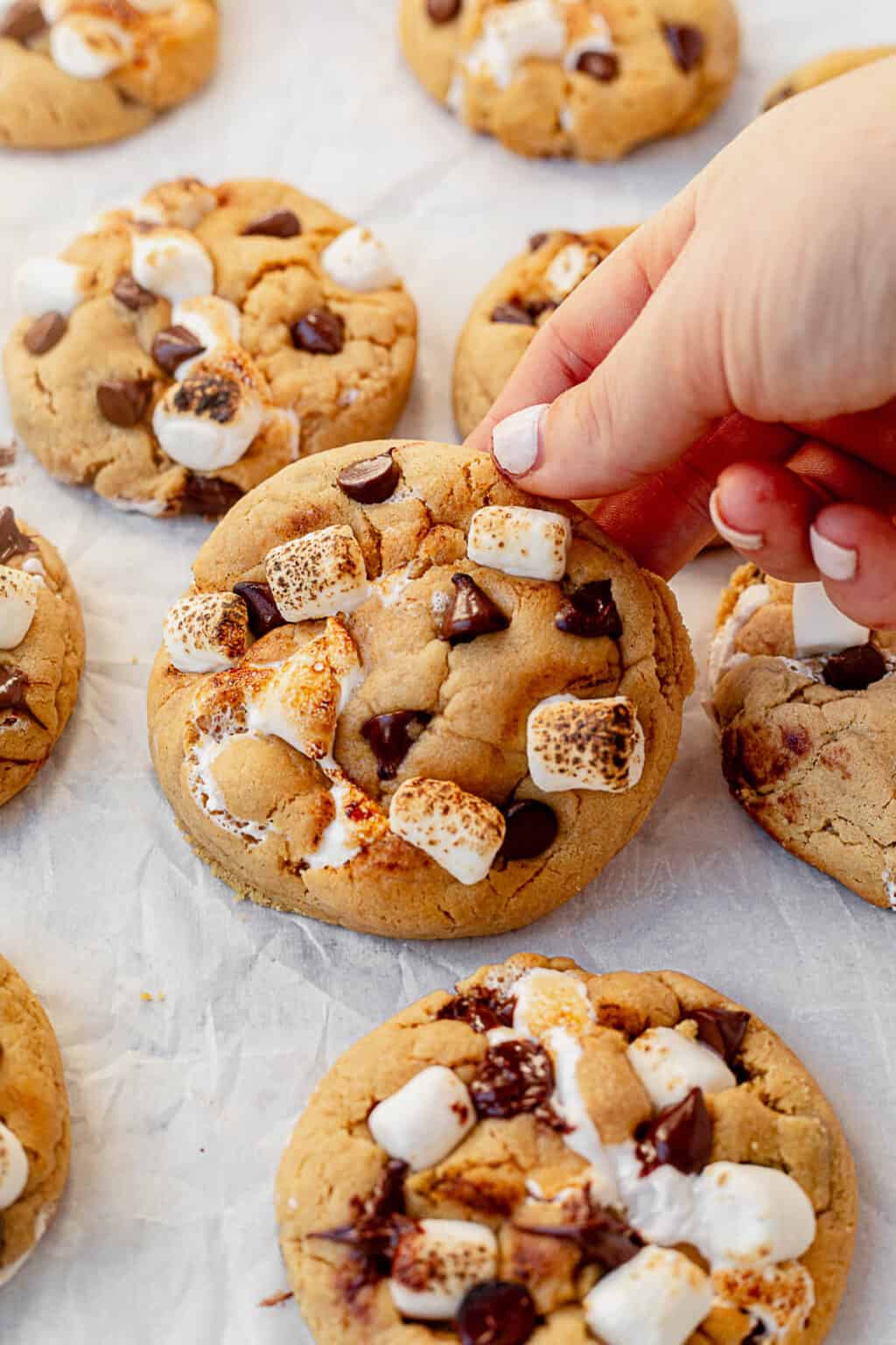 Toasted Marshmallow Peanut Butter Pudding Cookies