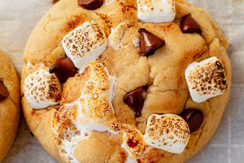 Toasted Marshmallow Peanut Butter Pudding Cookies