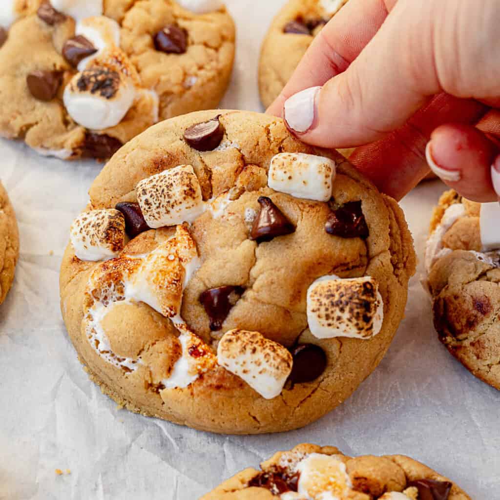 Chocolate Chip Pudding Cookies - What Molly Made