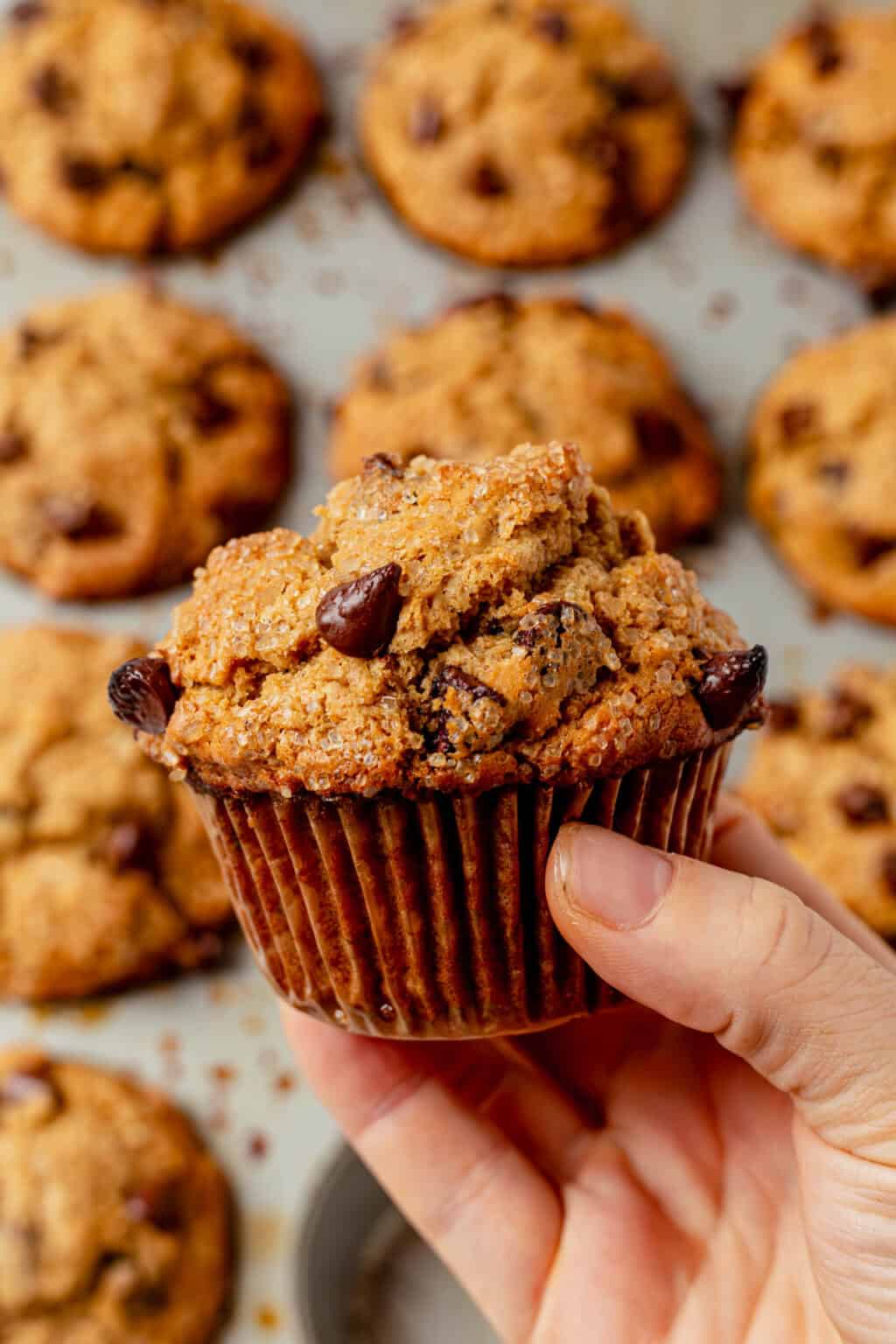 Oatmeal Chocolate Chip Muffins