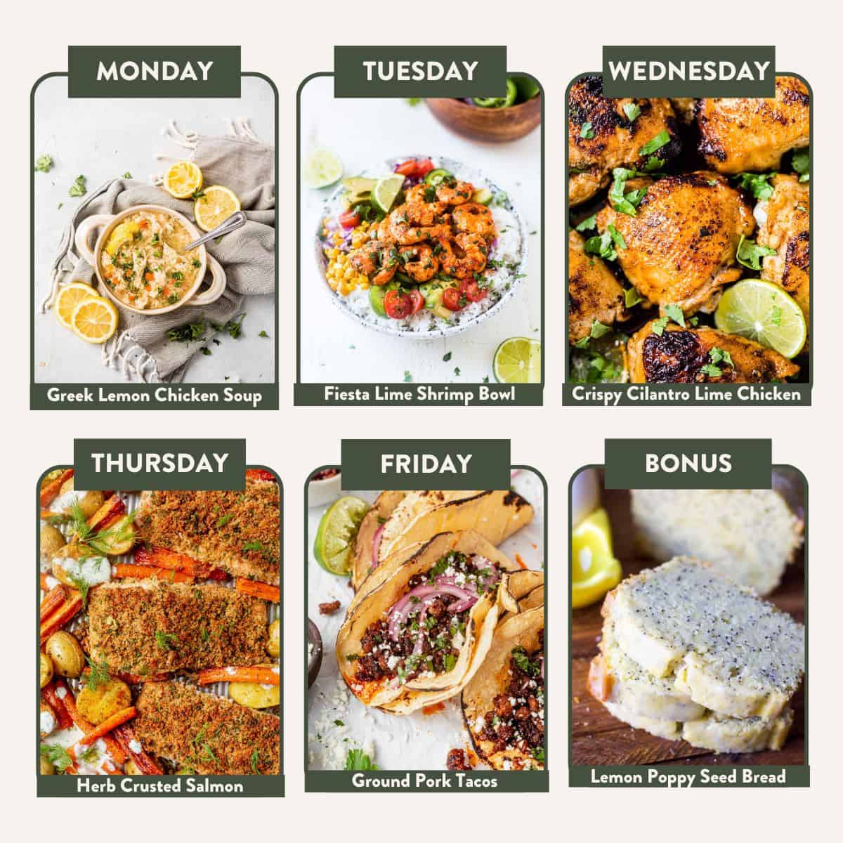 Citrus-Inspired Recipes | What Molly Made