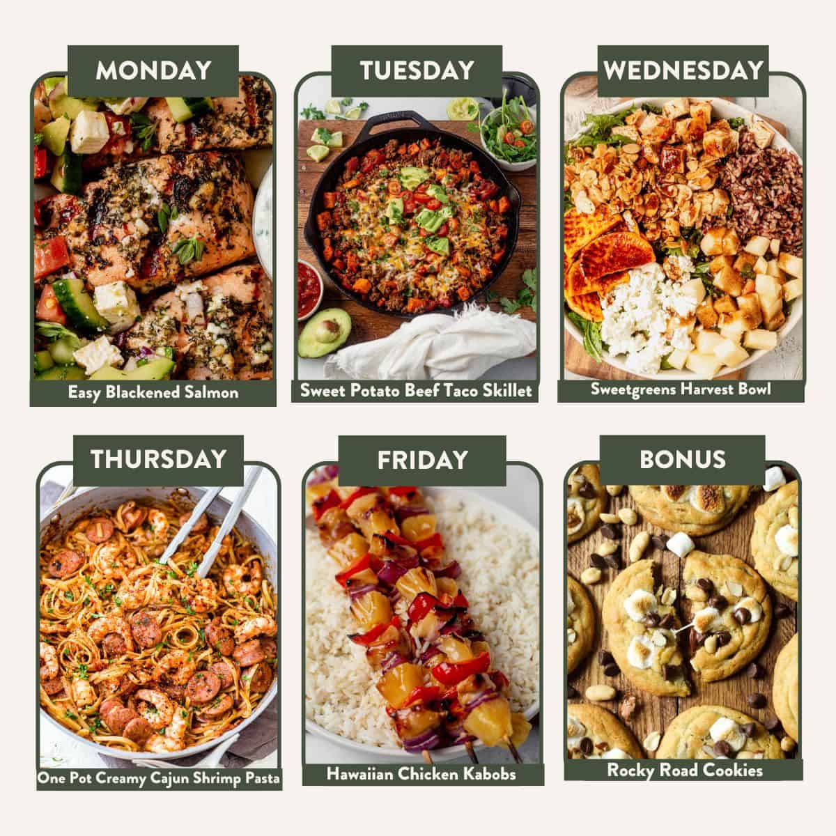 Protein-Packed GF & DF Recipes | What Molly Made