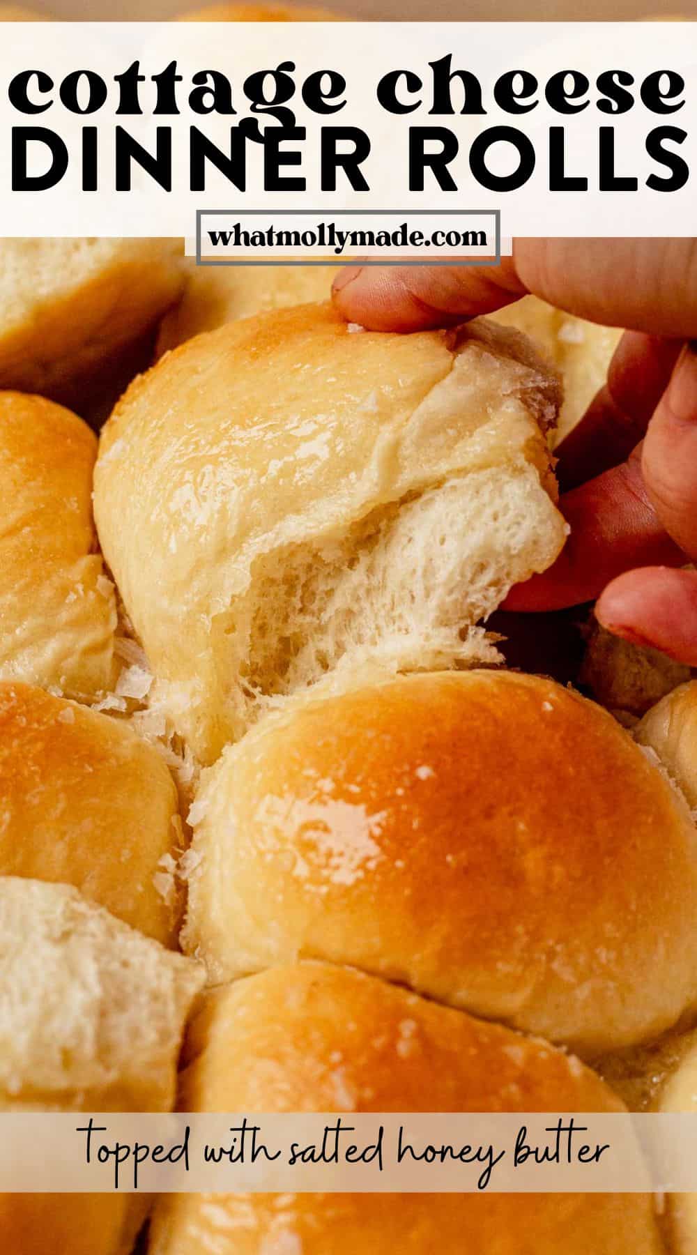 Cottage Cheese Dinner Rolls | What Molly Made