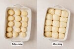 Cottage Cheese Dinner Rolls | What Molly Made