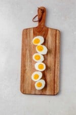 Viral Egg Flight | What Molly Made