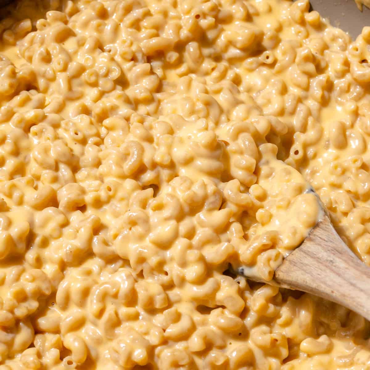 Cottage Cheese Mac and Cheese | What Molly Made