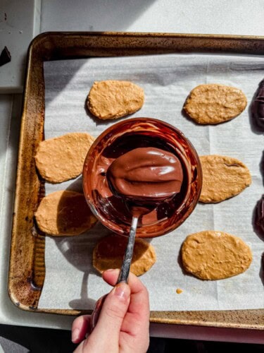 Healthy Reese's Eggs (High Protein) | What Molly Made