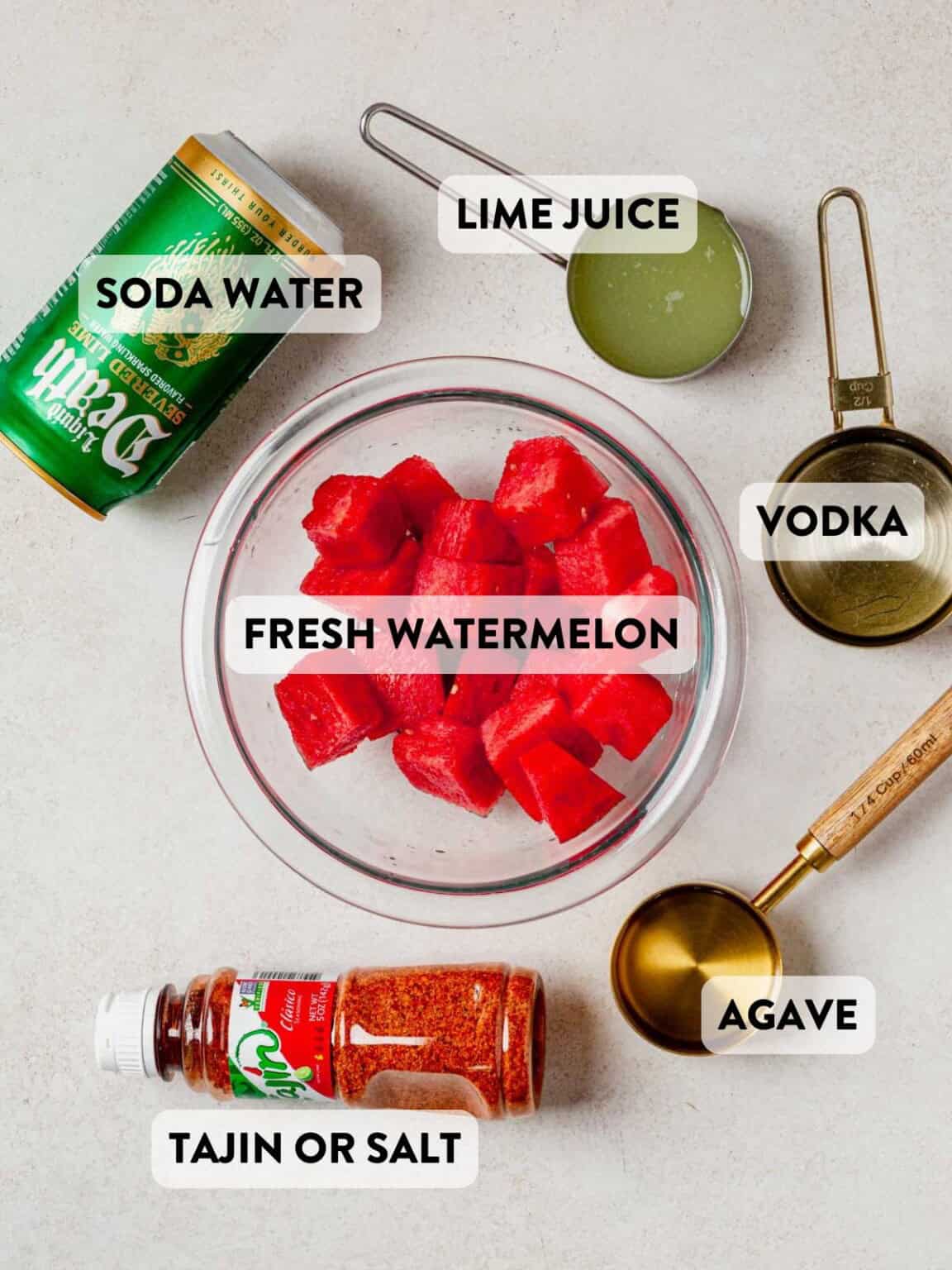 Fresh Watermelon Vodka Cocktail | What Molly Made