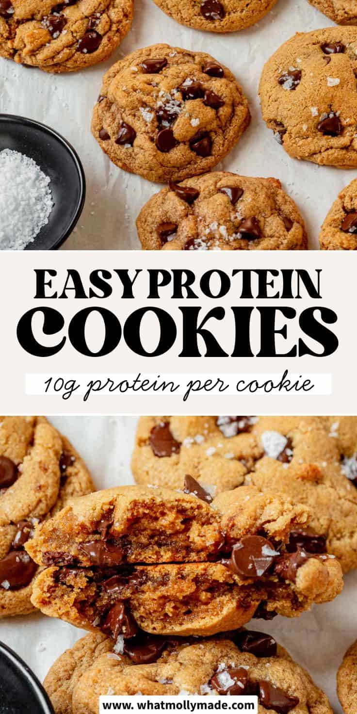 Chocolate Chip Protein Cookies (Easy, One Bowl) | What Molly Made